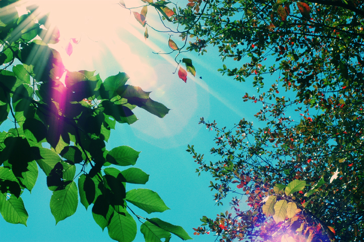 Community Circle: Member Care Meeting | Cosmos Cooperative